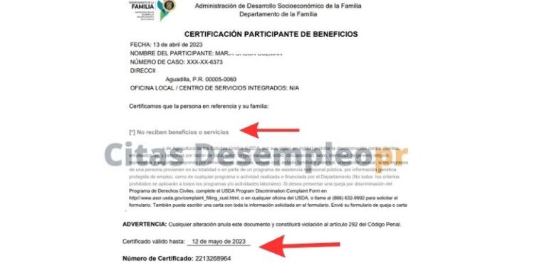 Certificación del PAN Online ️®【 2024 】 Teléfonos.